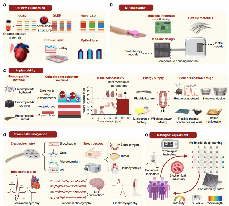 Light Sci. Appl. | 伤研所/上交大 & 哈佛大学提出AI加持的下一代LED疗法：可穿戴或将成为植入人体的“智能诊疗师” - 上海市伤骨科研究所